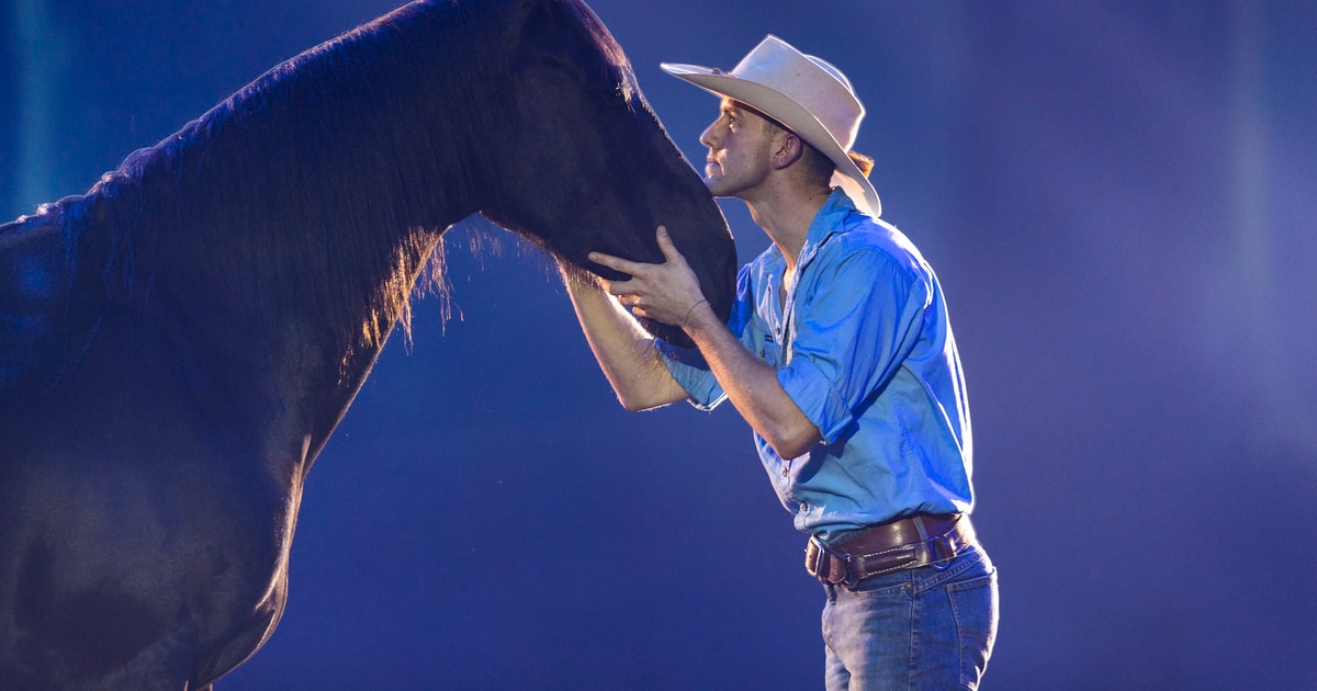 Brisbane: Australian Outback Spectacular Ticket with Dinner | GetYourGuide