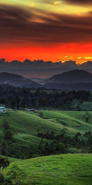 From Cairns: Atherton Tablelands Food and Wine Tasting Tour | GetYourGuide