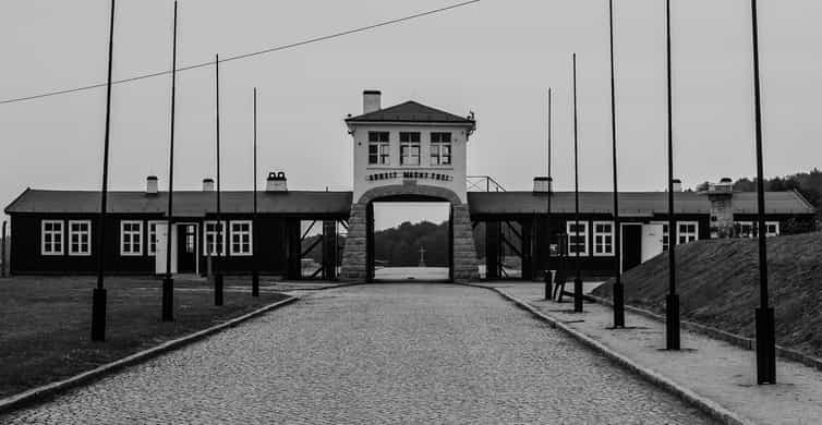 Wroclaw: WW2 Tour to Project Riese & Gross-Rosen Museum | GetYourGuide