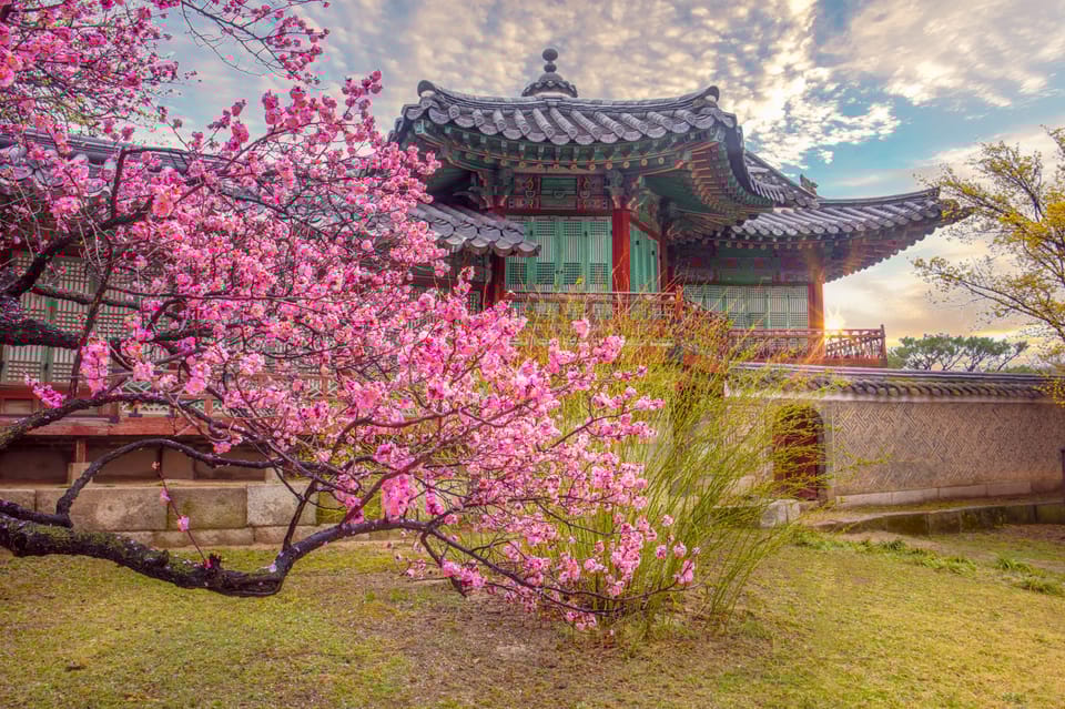 Seoul: Ancient Palaces and Scenic Points Walking Tour | GetYourGuide