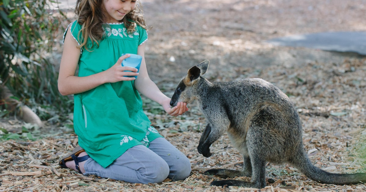 Ingresso geral para o Featherdale Wildlife Park | GetYourGuide
