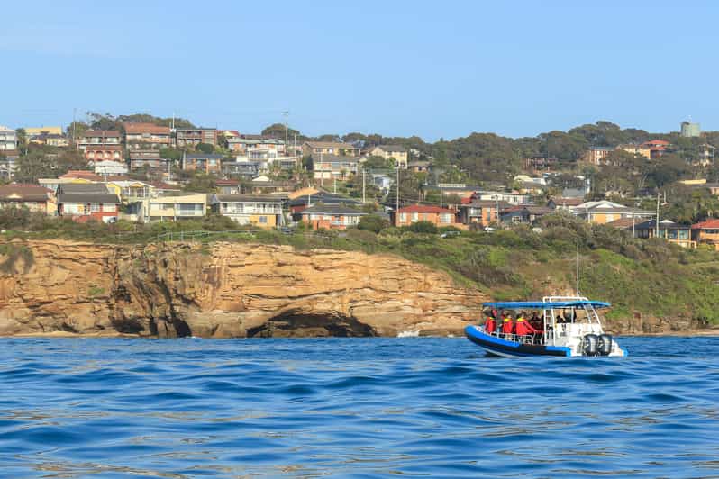 Newcastle: crucero turístico de 2,5 horas por el puerto y la costa ...