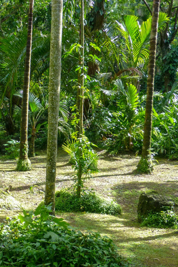 The BEST Nadi Tours and Things to Do in 2024 - FREE Cancellation ...