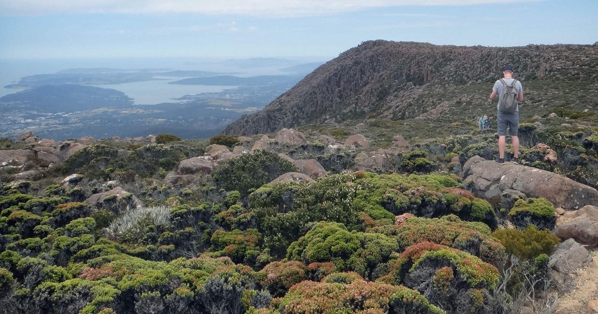 Kunanyi & Mt Wellington Explorer Bus: One-Way Bus Pass | GetYourGuide