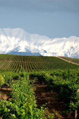 The BEST Absheron Tours and Things to Do in 2024 - FREE Cancellation ...