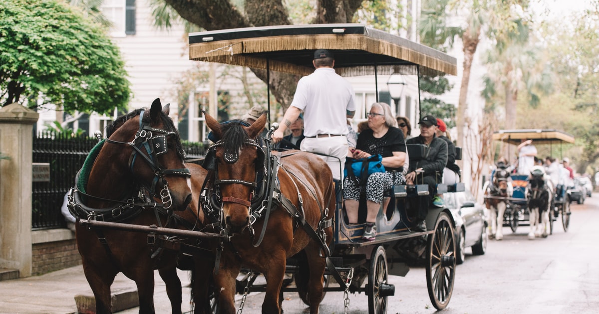 Charleston: Downtown Evening Carriage Tour | GetYourGuide