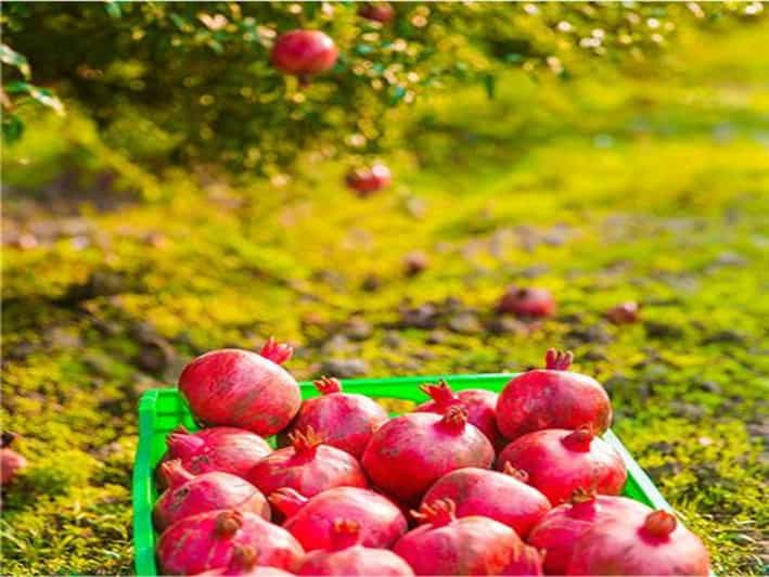 Μπακού: Aghsu με τοπικό γεύμα | GetYourGuide