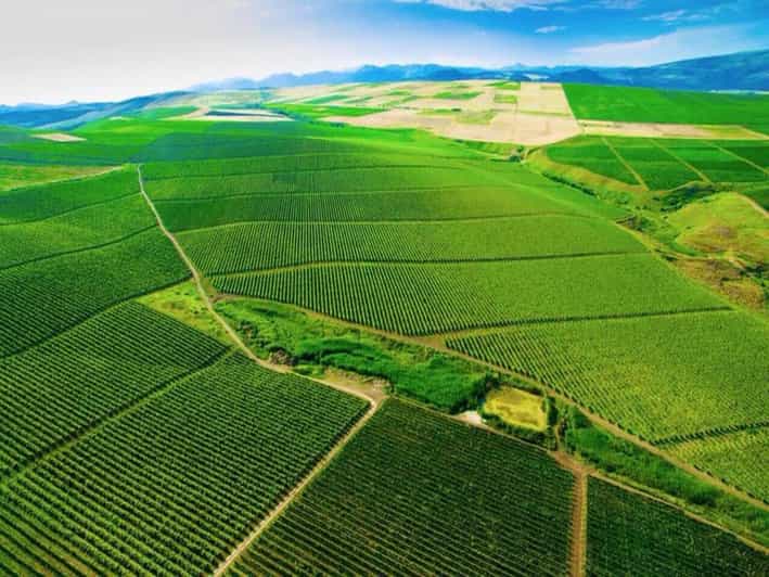 Baku: Granatapfelwein-Tour nach Aghsu mit lokalem Mittagessen ...