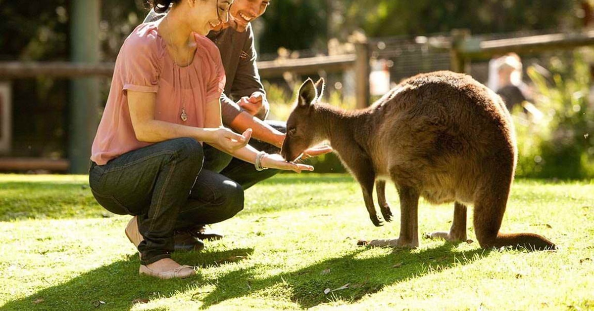 Lo mejor de Perth - Parque Natural y visita guiada por la ciudad ...