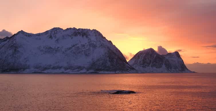 The BEST Tromsø Tours and Things to Do in 2023 - FREE Cancellation ...