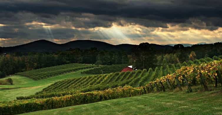 From Atlanta: North Georgia Wine Country Tour | GetYourGuide