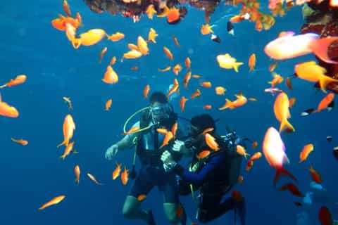 Ras Muhammad National Park, South Sinai - Book Tickets & Tours | GetYo