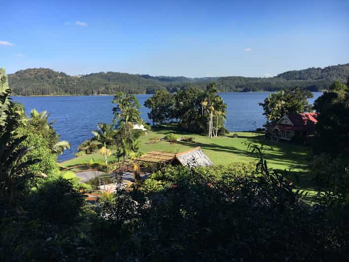 Sunshine Coast: Rainforest, Views, and Montville Day Tour | GetYourGuide