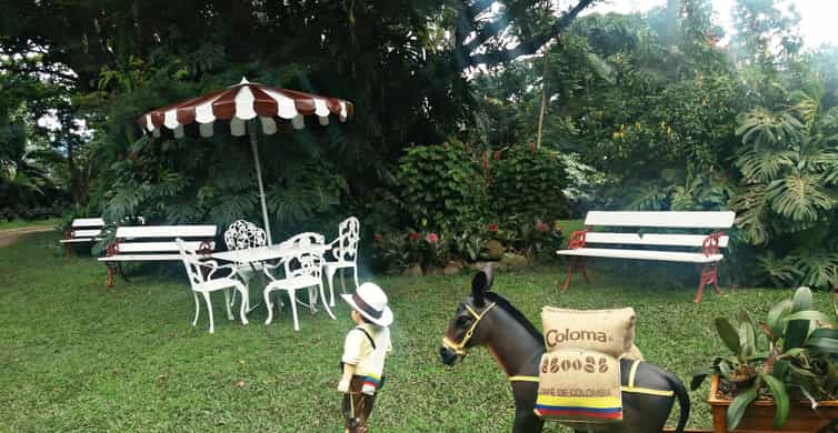 Coffee Experience: Hacienda Coloma Tour from Bogotá | GetYourGuide
