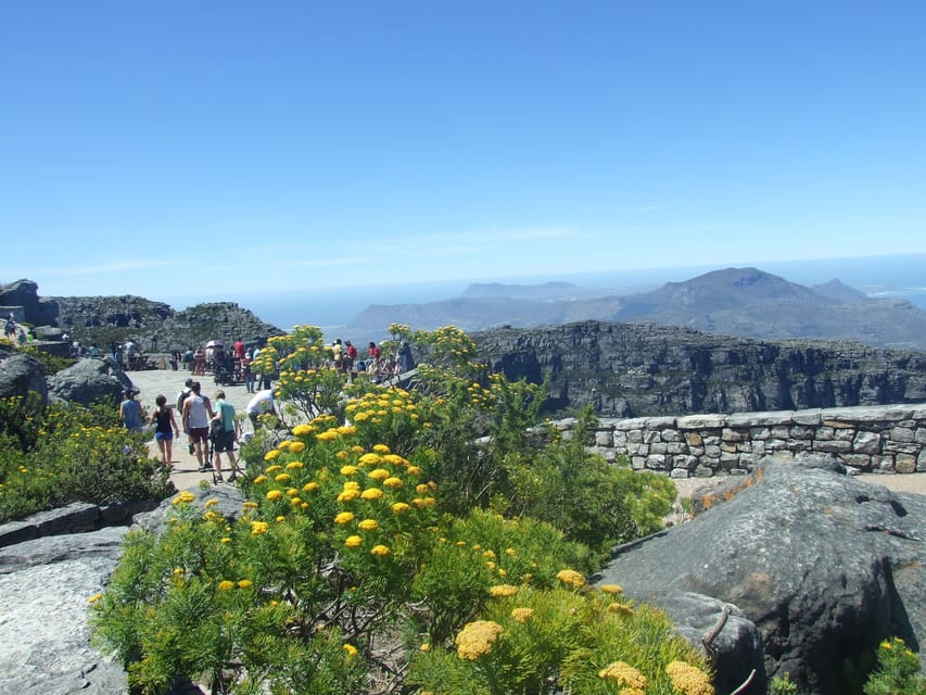 Ciudad del Cabo: Paseo por la Cumbre de la Montaña de la Mesa para toda ...