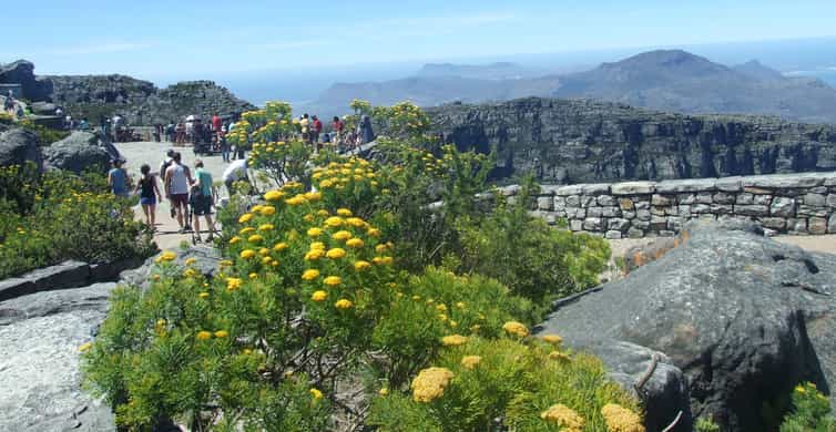 Cape Town: Table Mountain Summit Walk for the Whole Family | GetYourGuide