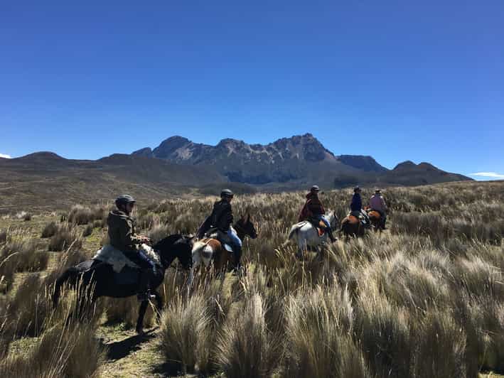 Cotopaxi Horseback Riding Tour from Quito | GetYourGuide
