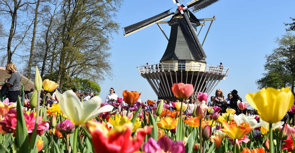 Amsterdam : Keukenhof et Zaanse Schans 1 attraction gratuite | GetYourGuide Amsterdam : Keukenhof et Zaanse Schans 1 attraction gratuite | GetYourGuide