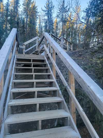 Excursión a las cataratas Cameron | GetYourGuide