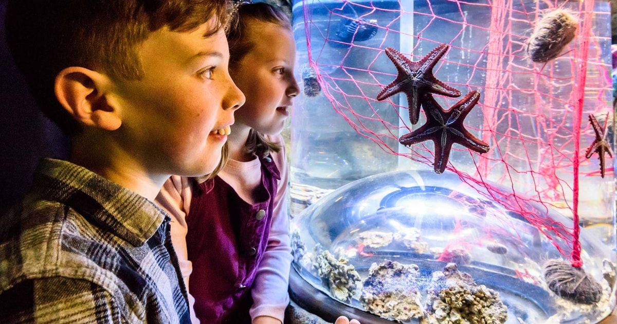 Sea Life Brighton Admission Ticket | GetYourGuide