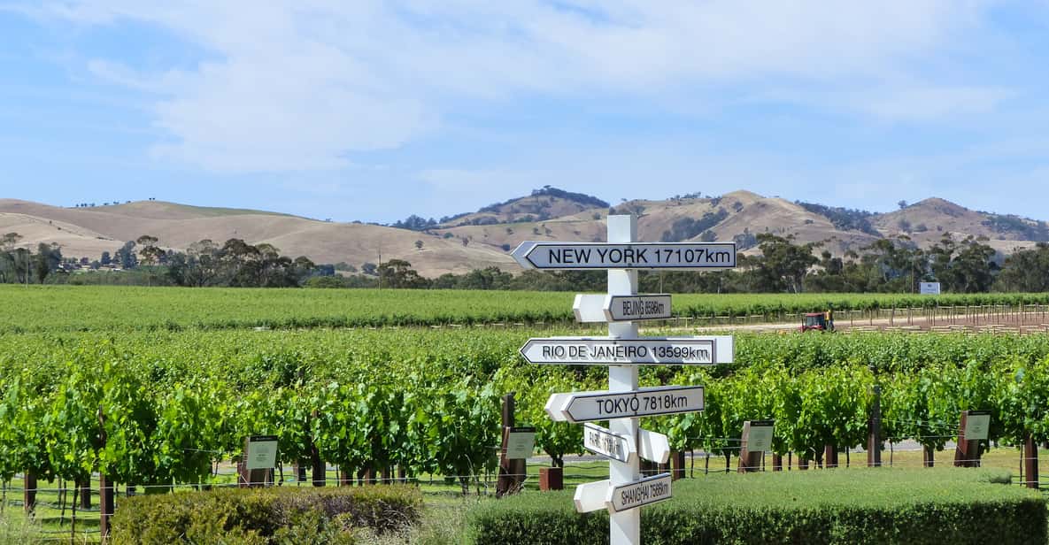 Barossa: Wildlife, Wine Tastings, Brewery, Chocolate & Lunch | GetYourGuide