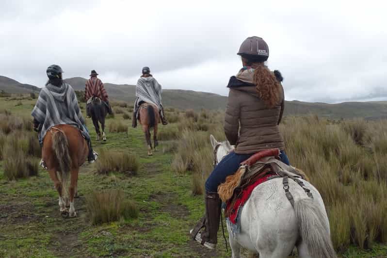 Cotopaxi Horseback Riding Tour from Quito | GetYourGuide
