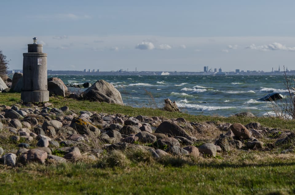 Tallinn: Top Attractions and Viimsi Open Air Museum | GetYourGuide