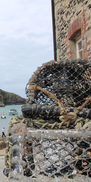 Doc Martin Tour | GetYourGuide