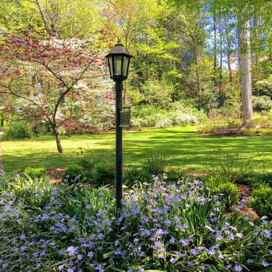 Atlanta: A City in a Forest Private Nature Tour | GetYourGuide