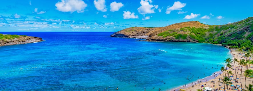 Polynesian Adventure | Dostawca GetYourGuide Polynesian Adventure | Dostawca GetYourGuide
