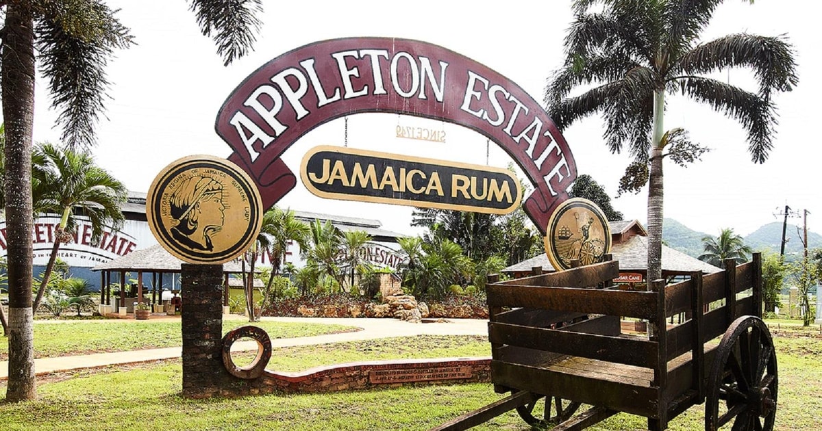 Joy Spence Appleton Estate Rum Tour | GetYourGuide