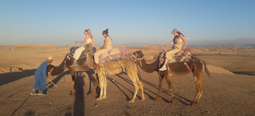 The BEST Marrakech-Safi Private tours 2024 - FREE Cancellation ...