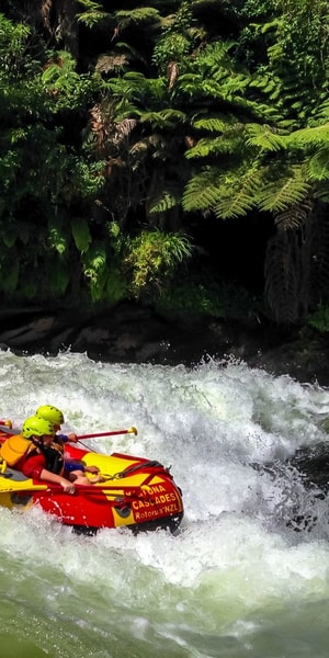 Kaituna River and Tutea Falls Whitewater Rafting | GetYourGuide