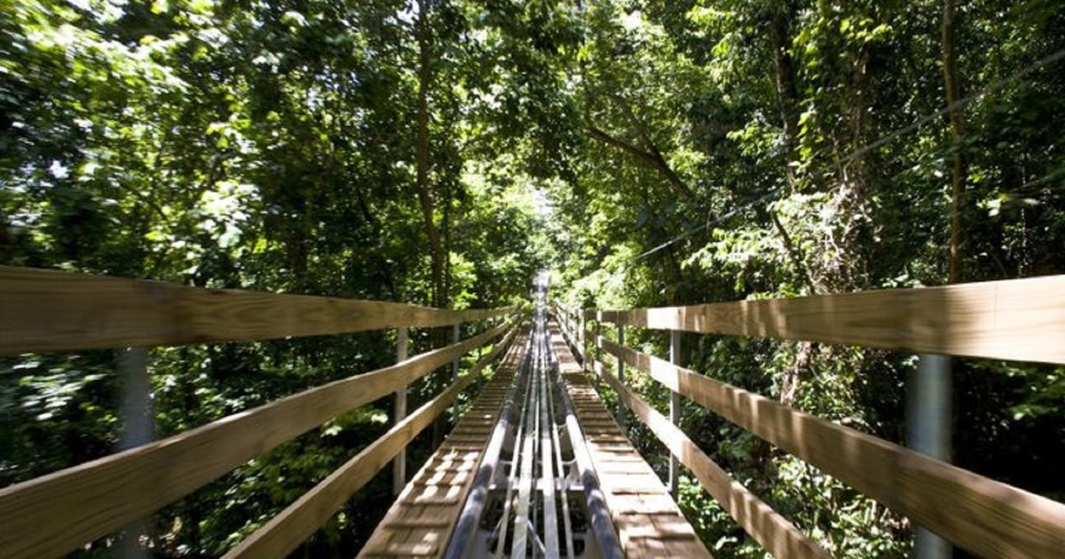 Jamaica Bobsled and Zip Line Adventure Tour | GetYourGuide
