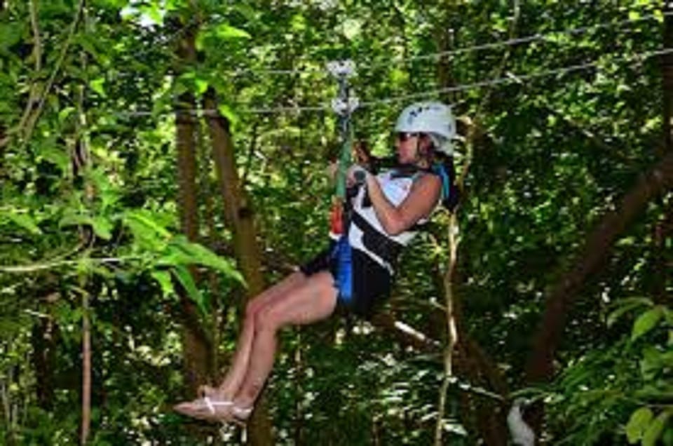 Jamaica Bobsled and Zip Line Adventure Tour | GetYourGuide