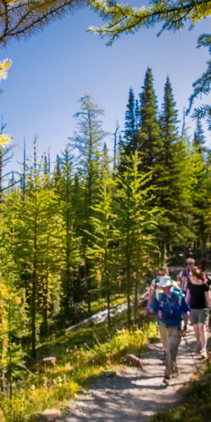 Banff National Park: Guided Signature Hikes with Lunch | GetYourGuide