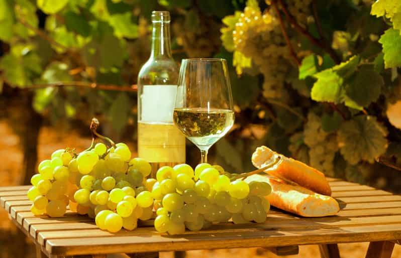 Frascati Wine Road from Rome: Tasting & Lunch | GetYourGuide