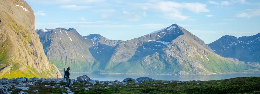 Wandering Owl | GetYourGuide-Anbieter