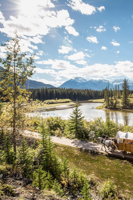 Banff: Wagon Ride with Cowboy Cookout BBQ | GetYourGuide