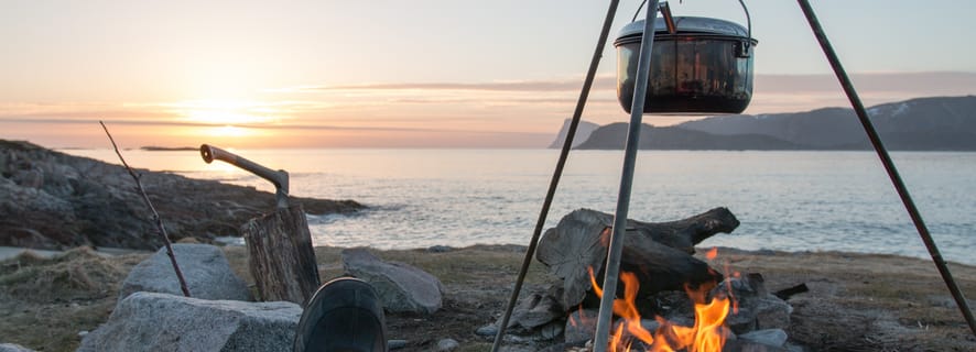 Wandering Owl | GetYourGuide-Anbieter