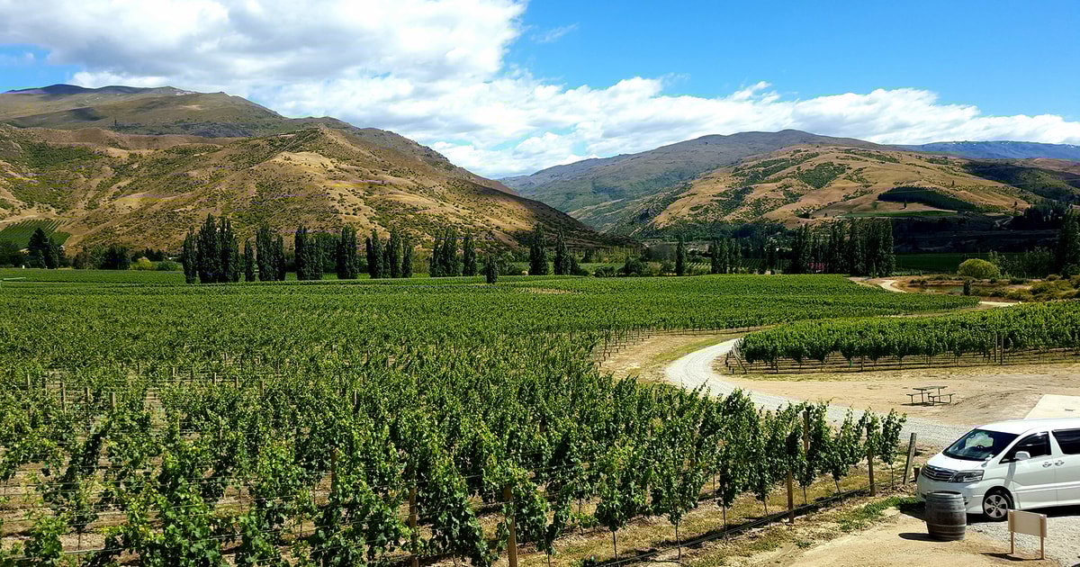 Boutique Wine Tour in Central Otago mit Sommelier Guide | GetYourGuide
