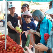 Split: Small Group Food Tour | GetYourGuide