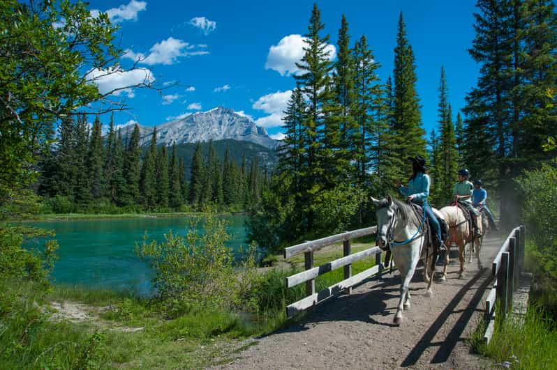 Parcul Național Banff: Plimbare de o oră pe râul Bow River cu calul ...