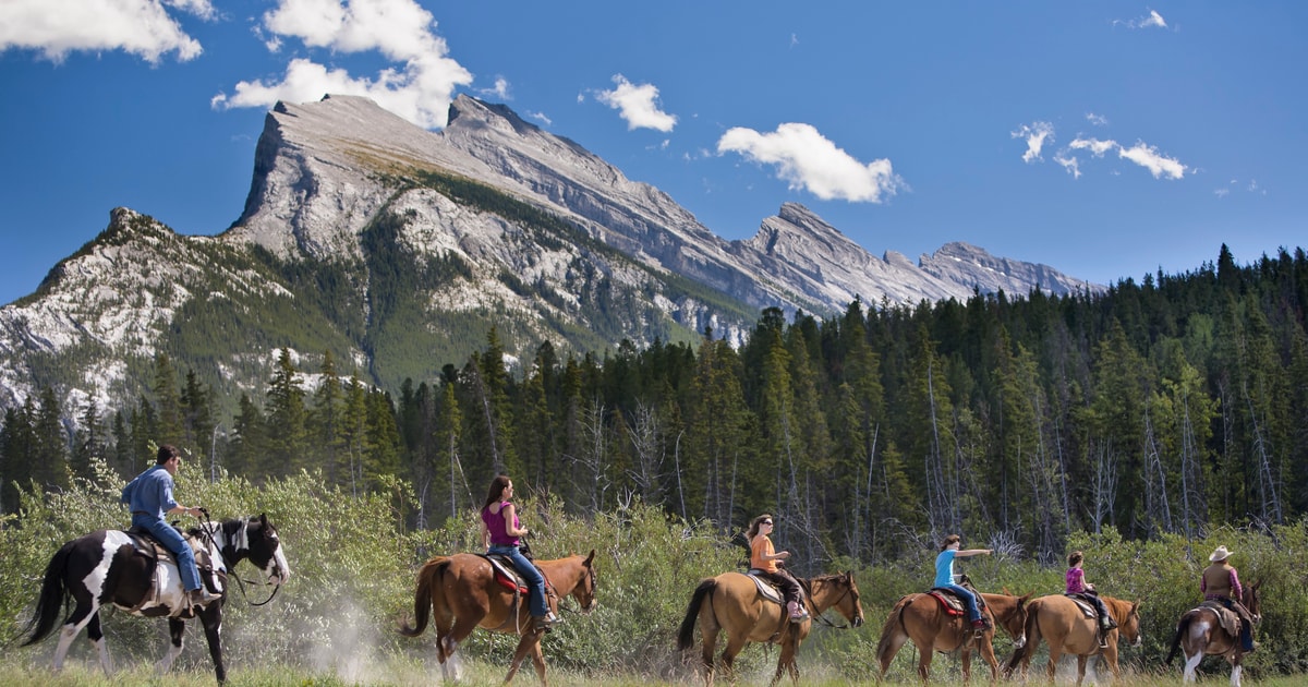 Banff: 3 uur durende tocht te paard door de Bow Valley Loop | GetYourGuide