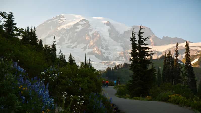 Seattle: Mount Rainier Park All-Inclusive Small Group Tour | GetYourGuide