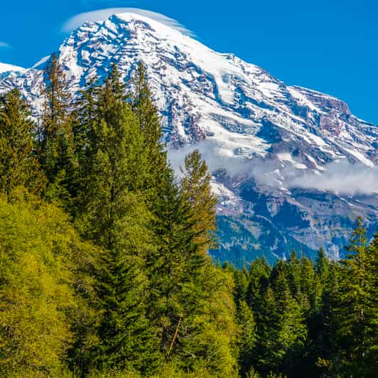 Seattle: Mount Rainier Park All-Inclusive Small Group Tour | GetYourGuide