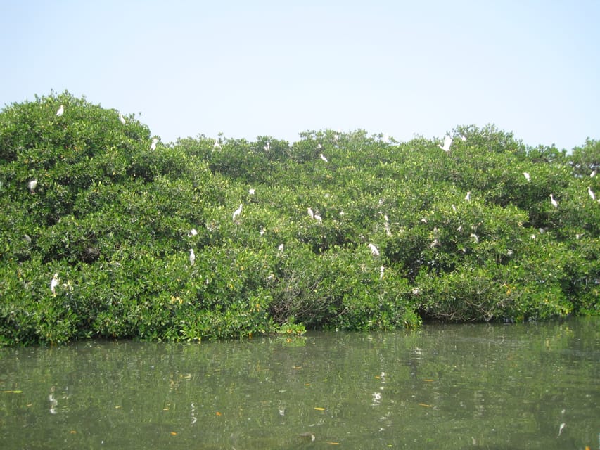 Veracruz: City Tour With Mandinga Boat Ride | GetYourGuide