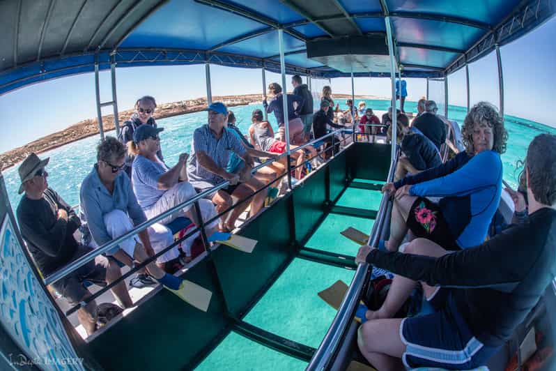 Coral Bay: 2-Hour Coral Viewing and Snorkeling | GetYourGuide