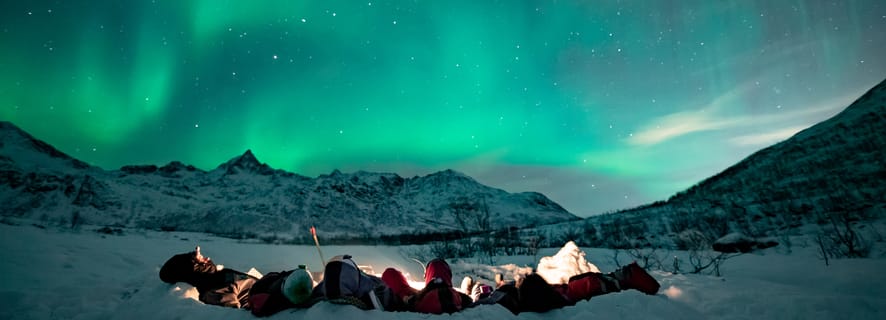 Wandering Owl | GetYourGuide Supplier