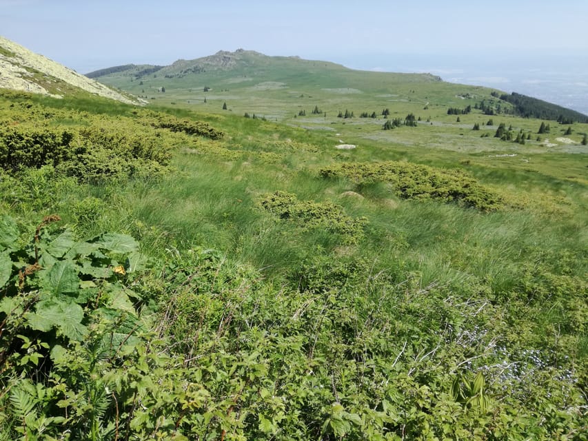 Excursión de un día a Vitosha y al pico de Cherni Vruh | GetYourGuide